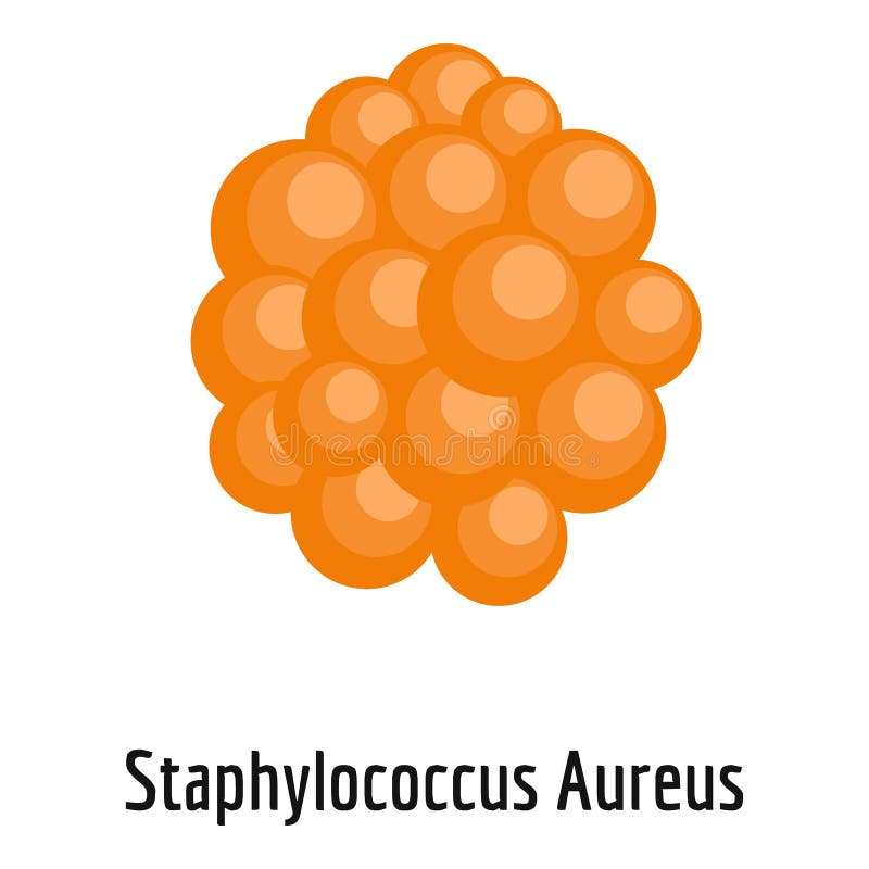 Streptococcus Pyogenes, Pathogen. Spherical, Gram-positive Bacteria ...