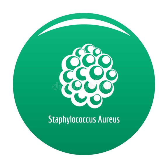 Staphylococcus Aureus Icon Vector Green Stock Vector - Illustration of ...