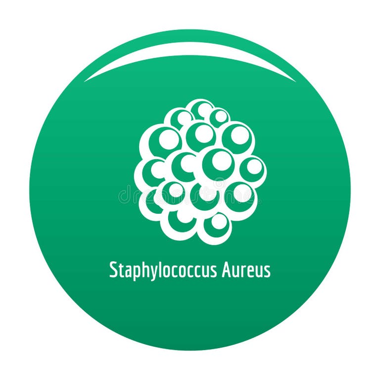 Staphylococcus Aureus Icon Vector Green Stock Vector - Illustration of ...