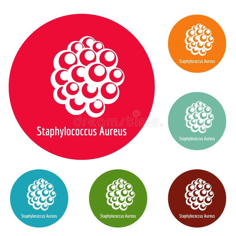 Staphylococcus aureus stock illustration. Illustration of death - 13149817