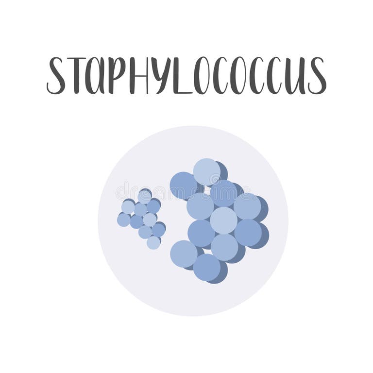 Diplococcus Icon Stock Illustrations – 63 Diplococcus Icon Stock ...