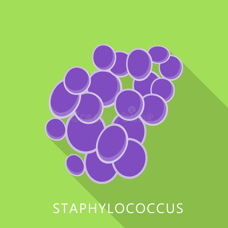 Diplococcus Icon Stock Illustrations – 63 Diplococcus Icon Stock ...