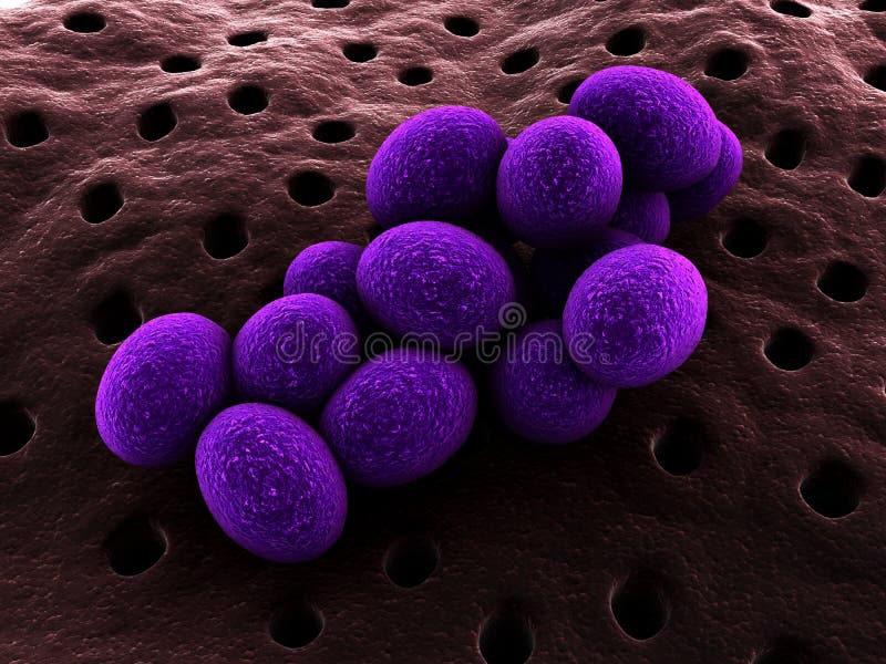 Staphylocoque illustration stock. Illustration of bactéries - 11953415