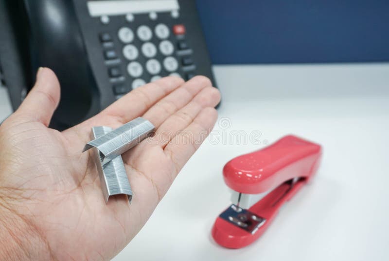 Stapler In Hand.Stapling Paper With Staples. Stock Photo - Image of ...