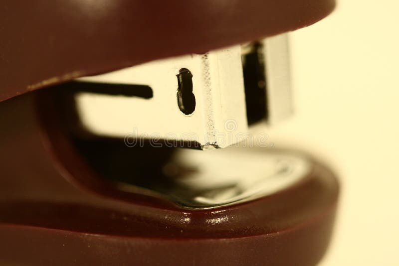 Stapler stock photo. Image of paperwork, group, closeup - 5820212