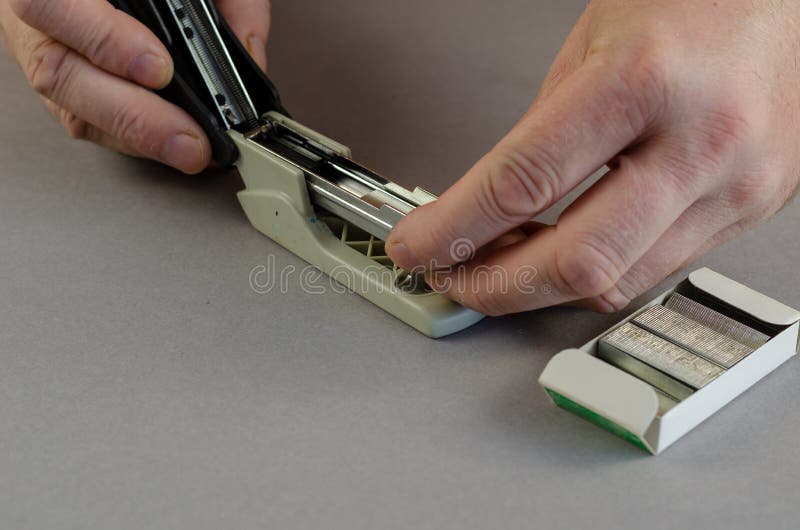 Stapler, Hands and Box of Staples on Gray Background. Man Closes Stock ...