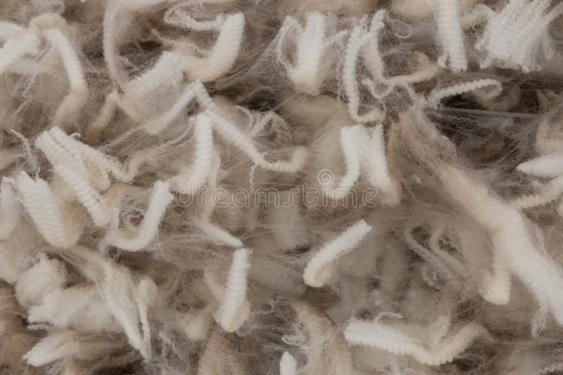 Staples of merino wool stock image. Image of curly, lambskin - 82107025
