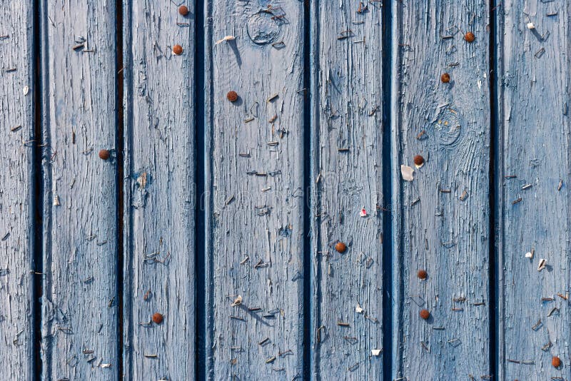 Staples on an Old Wooden Wall Stock Image - Image of rough, rusty ...