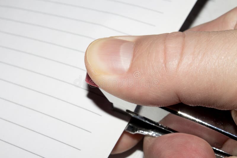 Paper staples stock image. Image of horizontal, staples - 31323