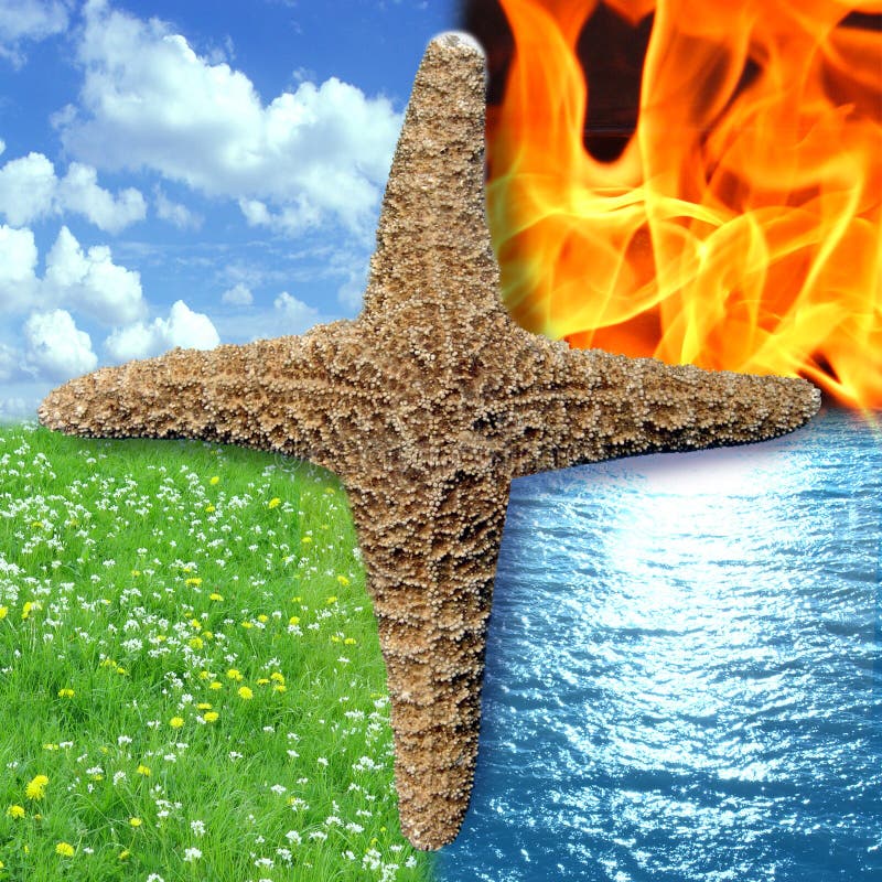 Star of 4 Elements square stock photo. Image of four, wave - 5808324