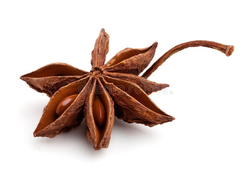 Star anis stock image. Image of season, condiment, seeds - 12126557