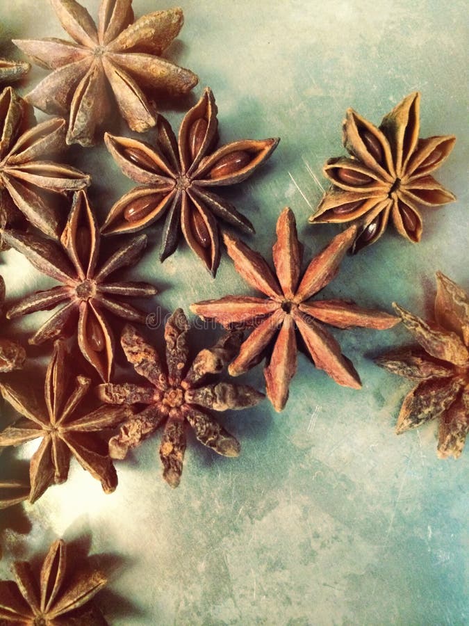 Star Anice stock image. Image of anice, star, spice - 254510591