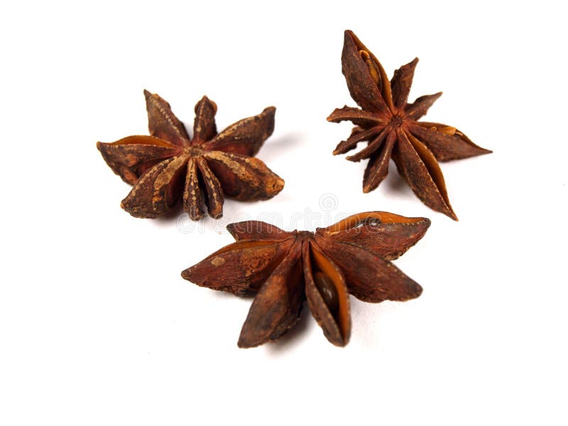 Star anis stock image. Image of season, condiment, seeds - 12126557
