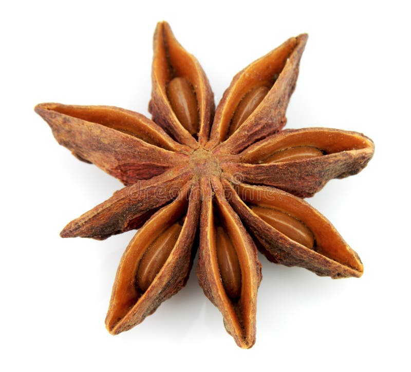 Star anise stock photo. Image of spice, cooking, close - 23840072
