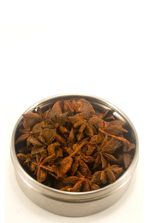 Japanese Star Anise (Illicium Stock Photo - Image of shikimi, green ...