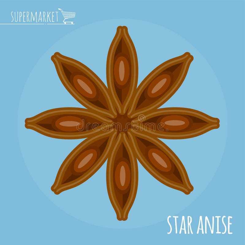Star Anise Flat Design Vector Icon. Stock Vector - Illustration of icon, fresh: 92485850