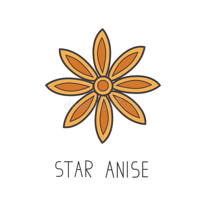 Star Anise Line Vector Illustration, Cooking Isolated Icon. Stock ...