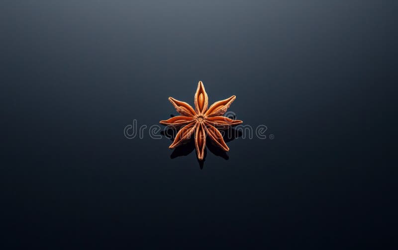 Star Anise Spice on Dark Reflective Surface Stock Illustration ...