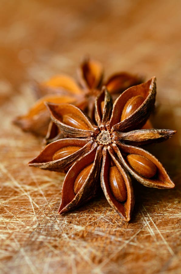 Star anise spice stock image. Image of ingredient, spices - 67841021