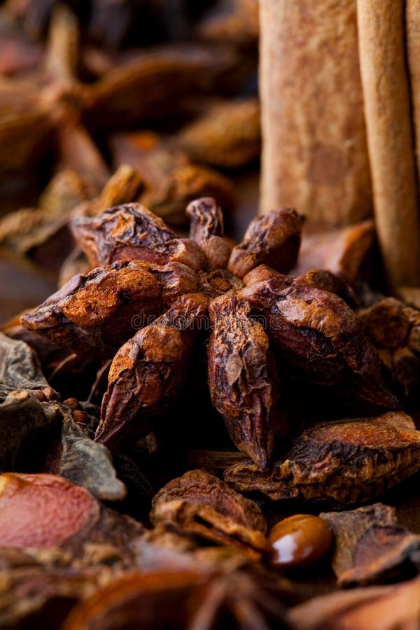 Star Aniseed and Cinnamon Sticks Stock Photo - Image of spice, seed ...