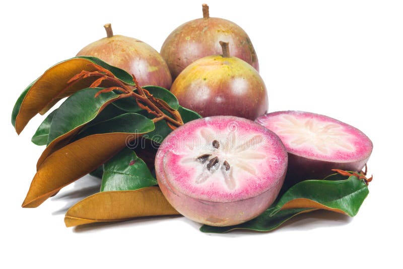 Star apple or cainito stock photo. Image of color, pressure - 69010370