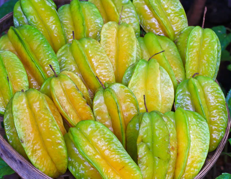 Star apple fruit stock photo. Image of apple, melon, isolated - 42004514