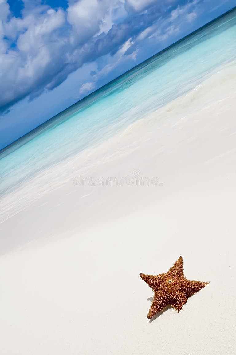 77,648 Star Beach Enko Stock Photos - Free & Royalty-Free Stock Photos ...