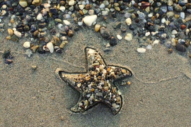 Star on the beach stock photo. Image of seaside, play - 61917434