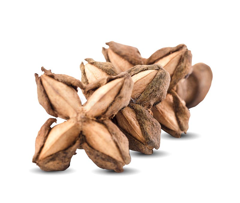 Star Bean Inca Isolated on a White Background Stock Photo - Image of ...