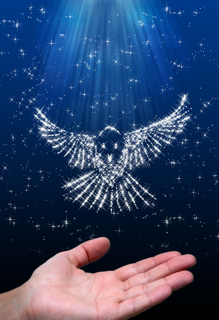 Spirit Bird Sign Stock Illustrations – 4,972 Spirit Bird Sign Stock ...