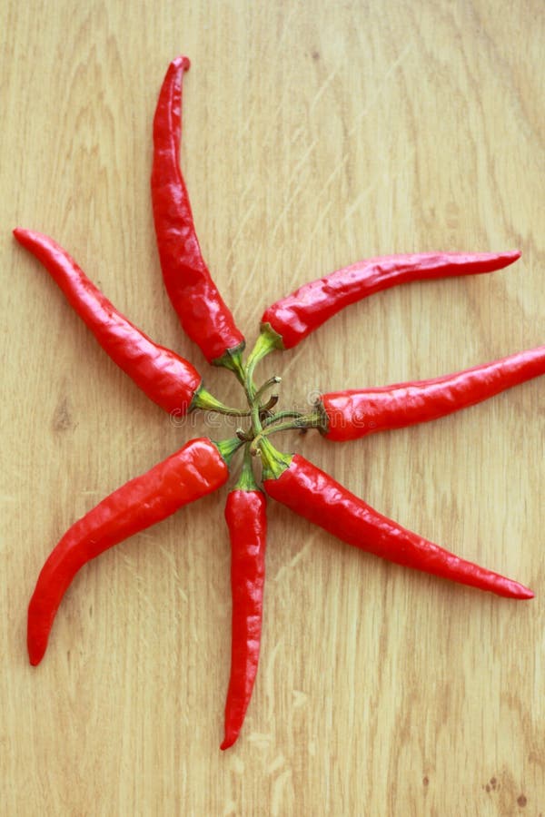 Chili Star stock image. Image of chili, green, mexican - 573067