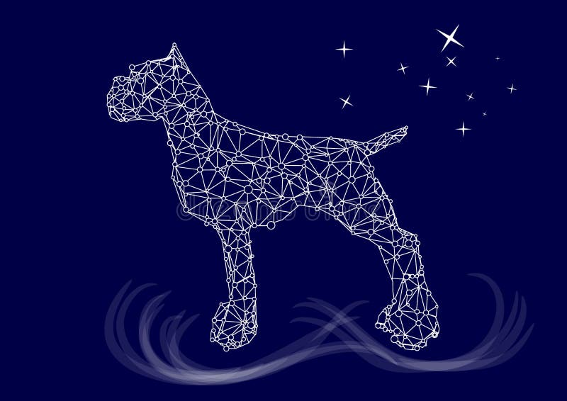 Star dog stock vector. Illustration of stars, star, sign - 268942431