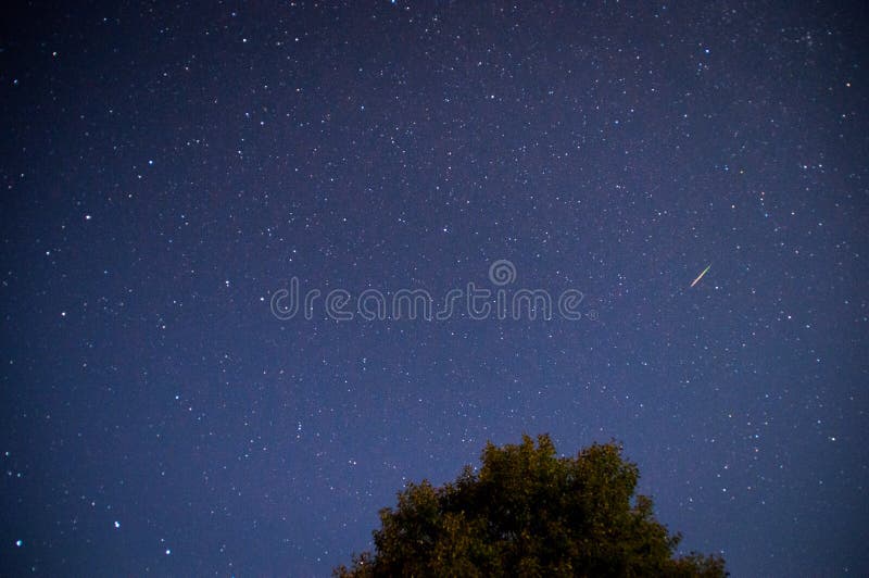 Star Fall Special Capturing Way Which is Making Starfall All Around the ...