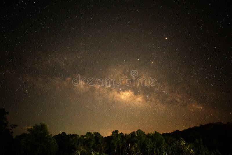 Star Field Over Forest at Night Stock Photo - Image of trees, town ...