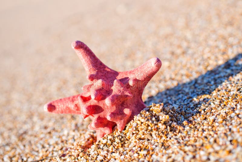 Star fish stock image. Image of color, beautiful, star - 37849345