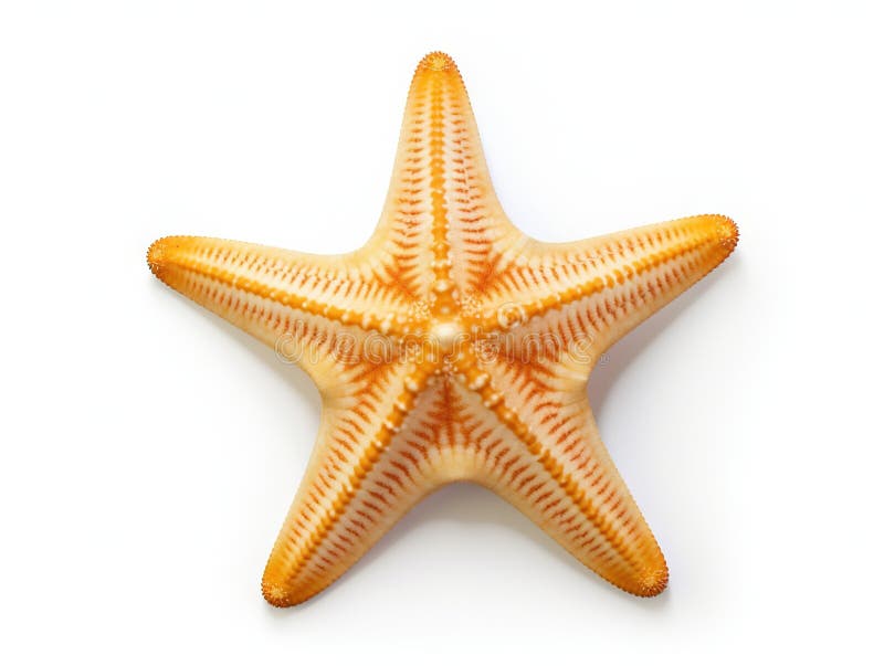 Ai Generated Illustration Wildlife Concept of Star Fish Stock ...