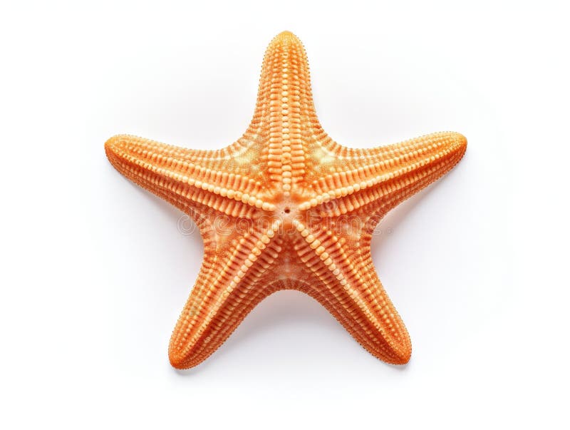 Ai Generated Illustration Wildlife Concept of Star Fish Stock ...