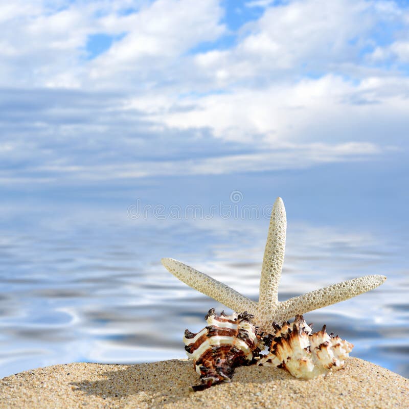 Star fish with sand stock image. Image of aquamarine - 55544333