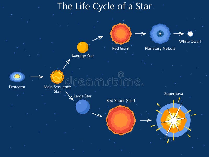 Life Cycle of a Star Structure Diagram Science Stock Illustration ...