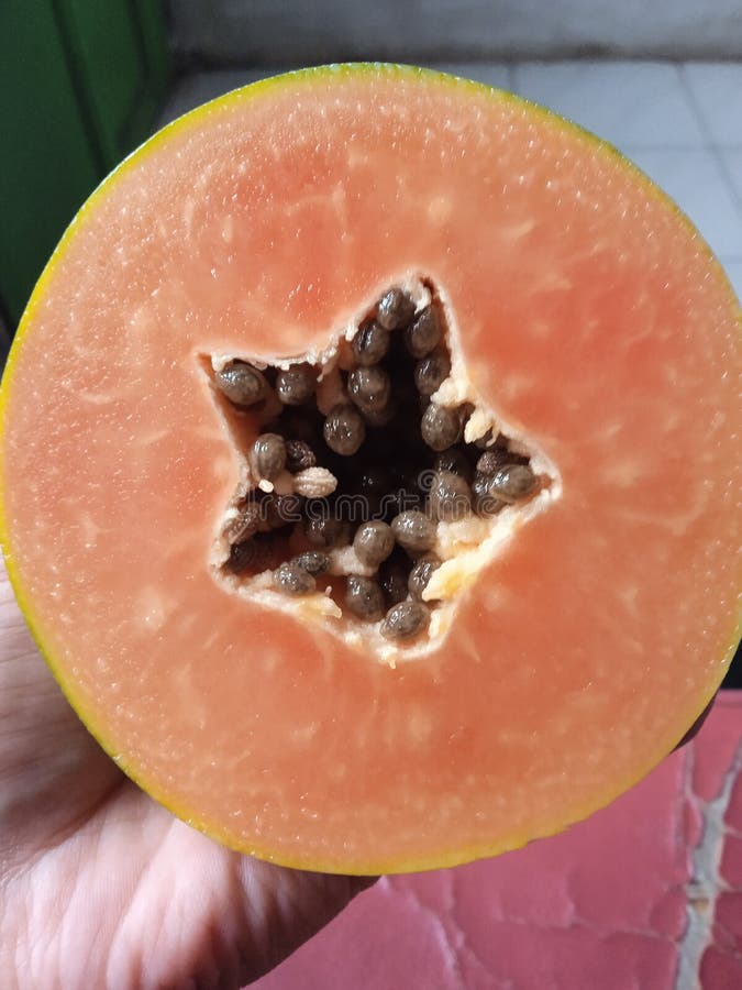 Star in fruit papaya stock image. Image of star, fruit - 242929451