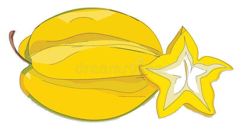 Star Fruit, Vector or Color Illustration Stock Vector - Illustration of ...