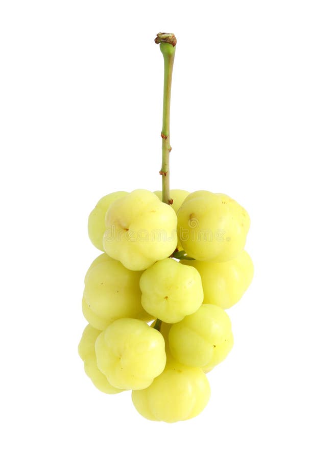 Red star gooseberry fruit stock photo. Image of detail - 31555492