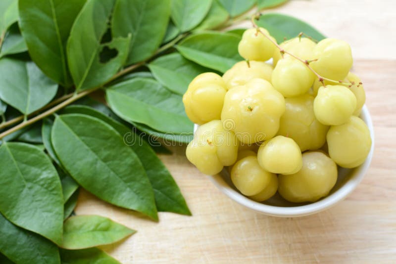 Star gooseberry stock image. Image of vitamin, dessert - 63661835
