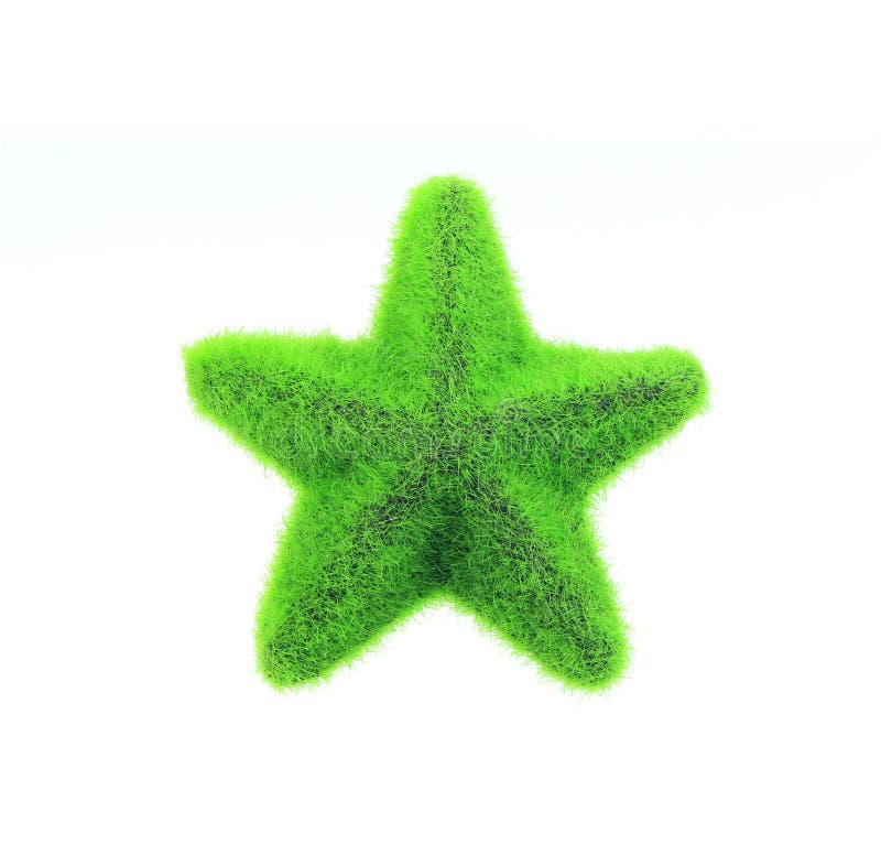 Star from Grass Isolated on White Stock Image - Image of green, field ...