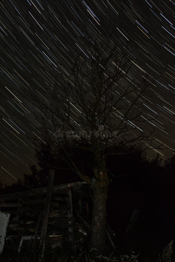 Star stock photo. Image of evening, motion, light, star - 43704986