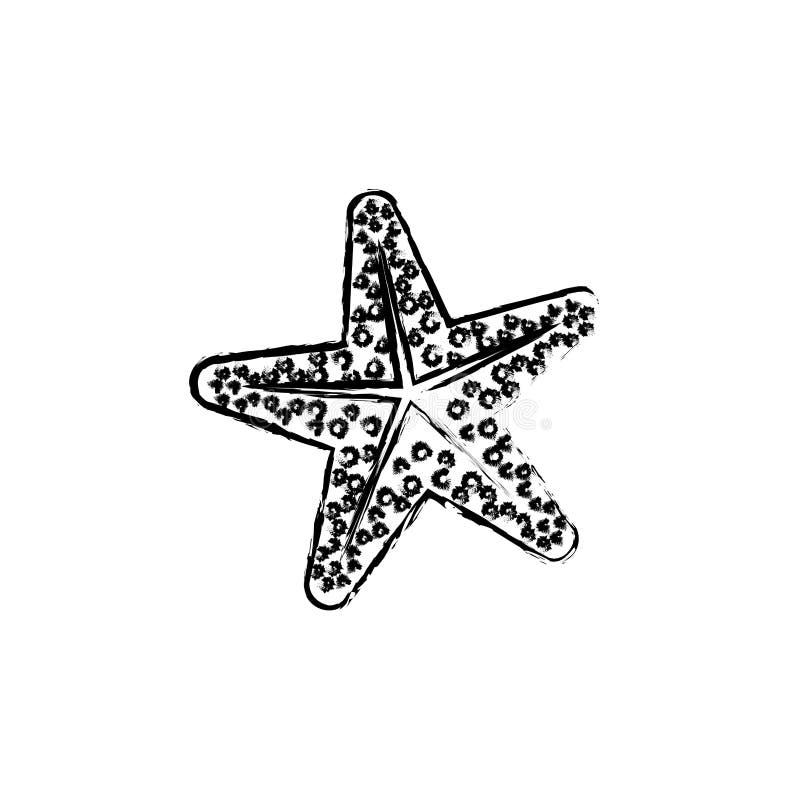Star sea creature stock illustration. Illustration of draw - 82805303