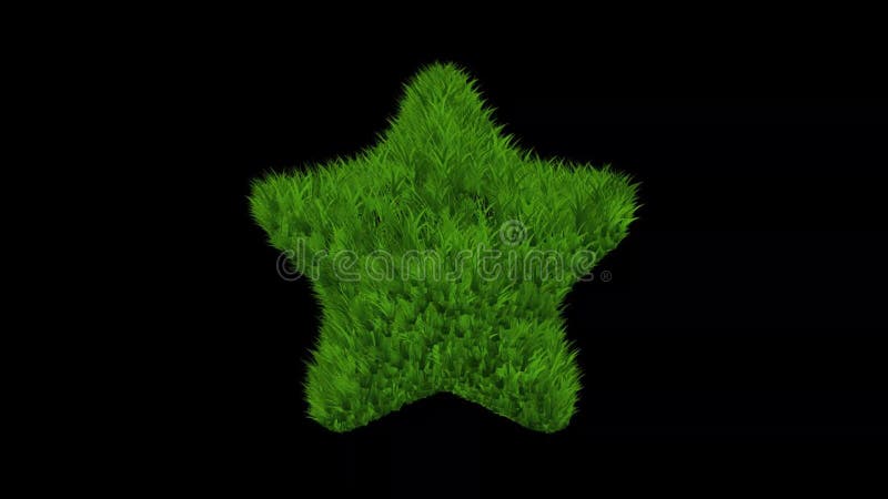 Star Shape with Green Grass on Plain Black Background Stock Footage ...
