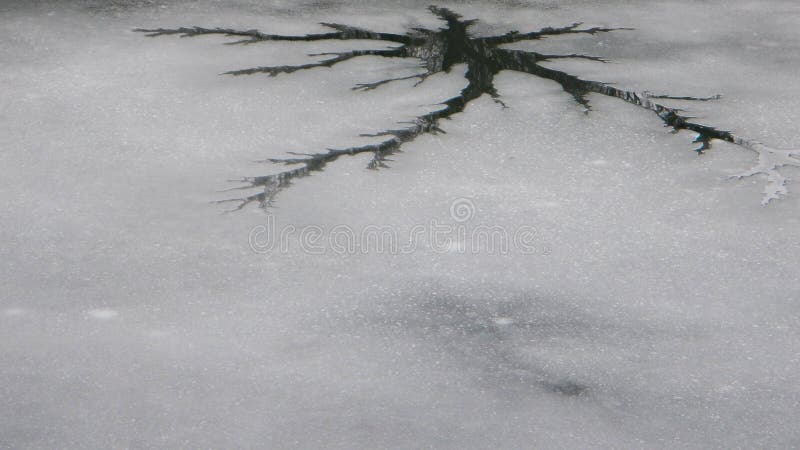 Star Crack on Wood stock photo. Image of pattern, light - 27980614