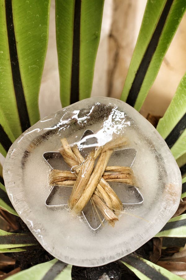 Star-shaped stock image. Image of homemade, festive, seasonal - 36054295