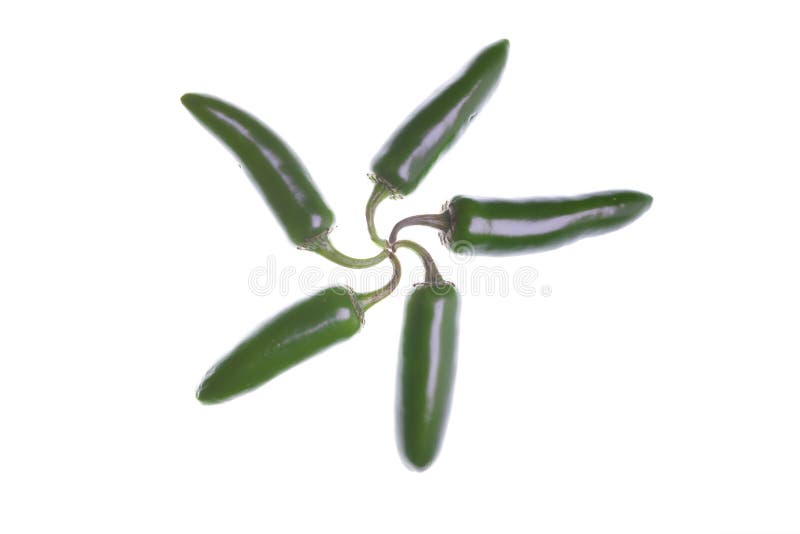 Star Shapped Group of Peppers. Stock Photo - Image of jalapeno ...